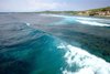4 Days On Ceningan Island | Indonesia | 5050 Travelog