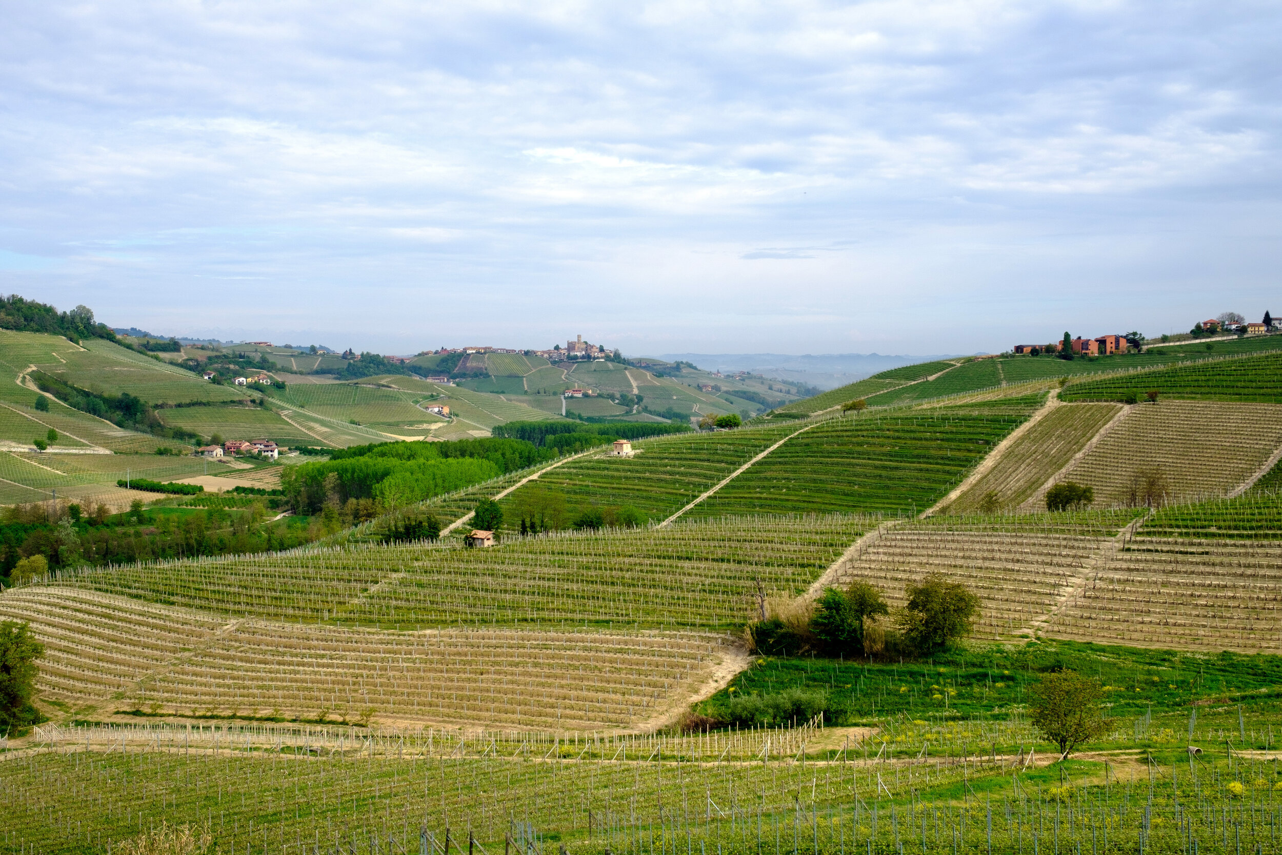 Serralunga d'Alba | 5050 Travelog