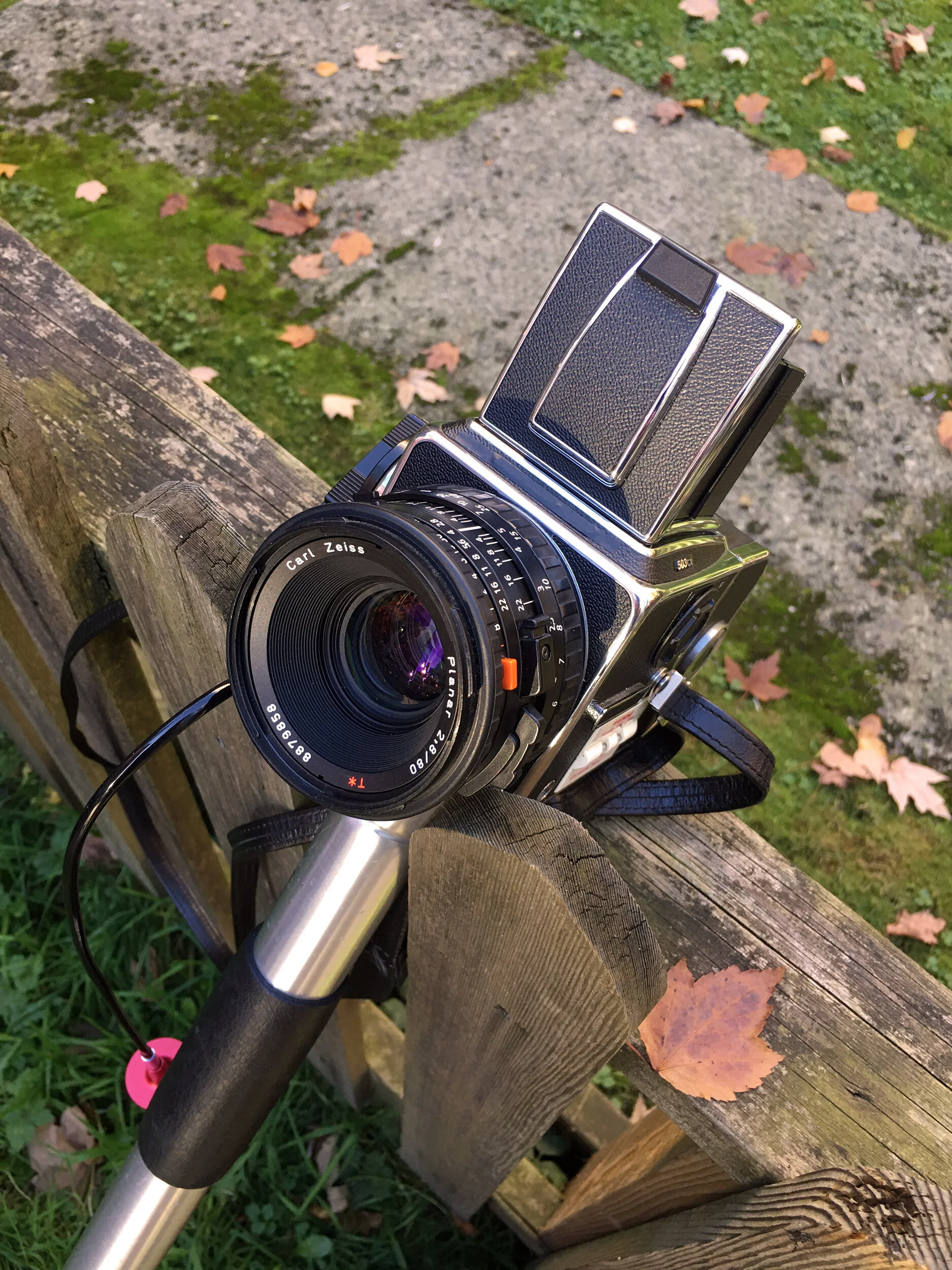 Hasselblad 503CX Review | 5050 Travelog