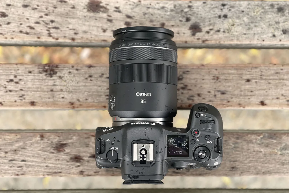Canon RF Lenses for the EOS R5 | 5050 Travelog