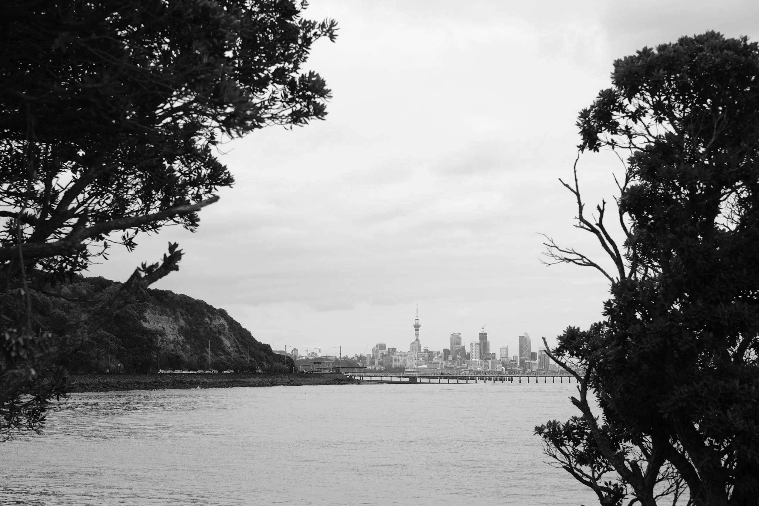 Waitangi Day Bay Walk Auckland 5050 Travelog Waitangi Day Bay Walk Auckland 5050 Travelog