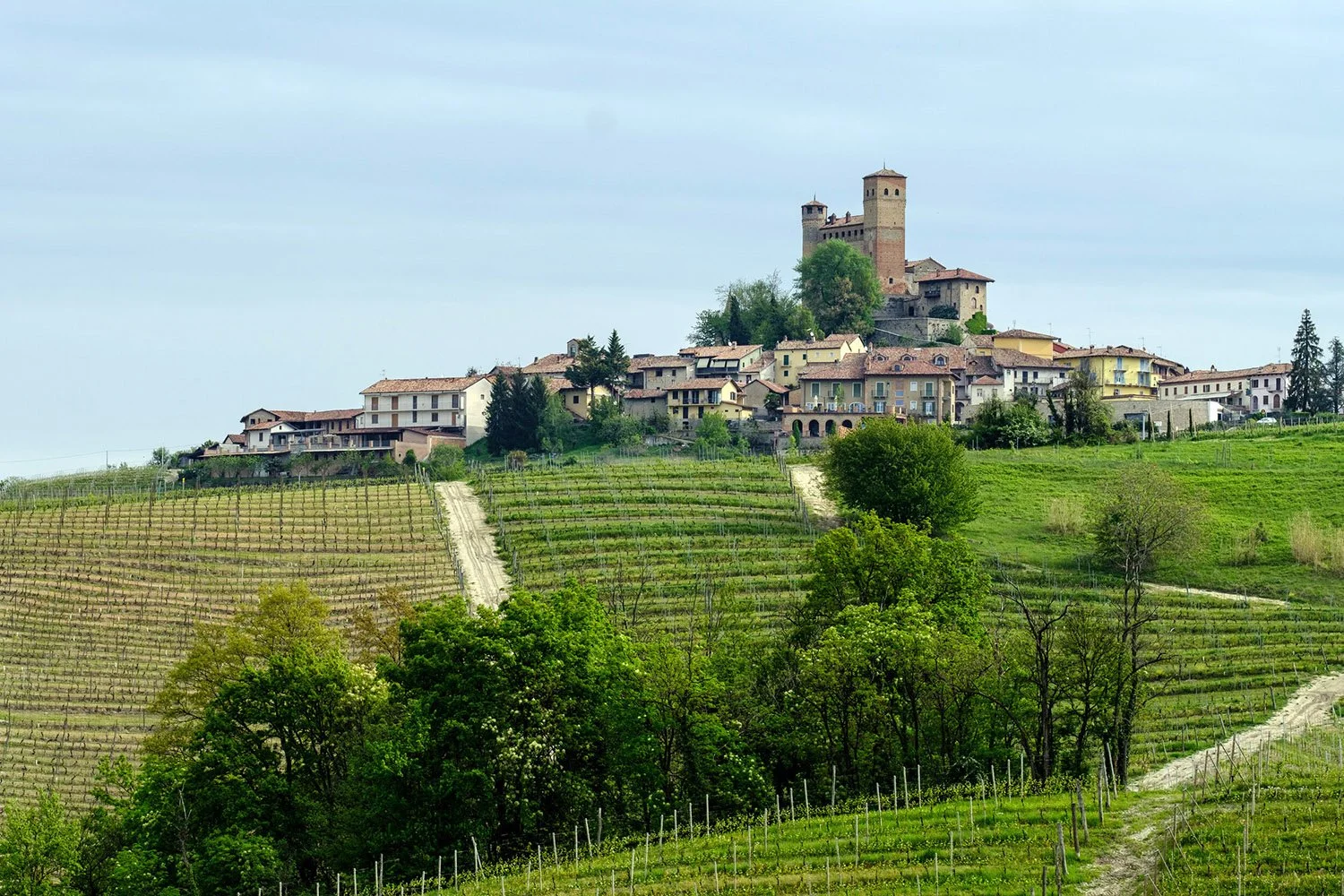 Serralunga d'Alba | 5050 Travelog