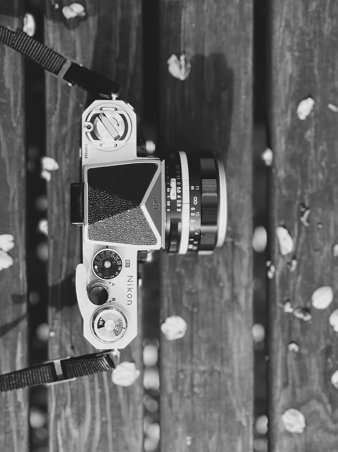 Nikon F Review | 5050 Travelog