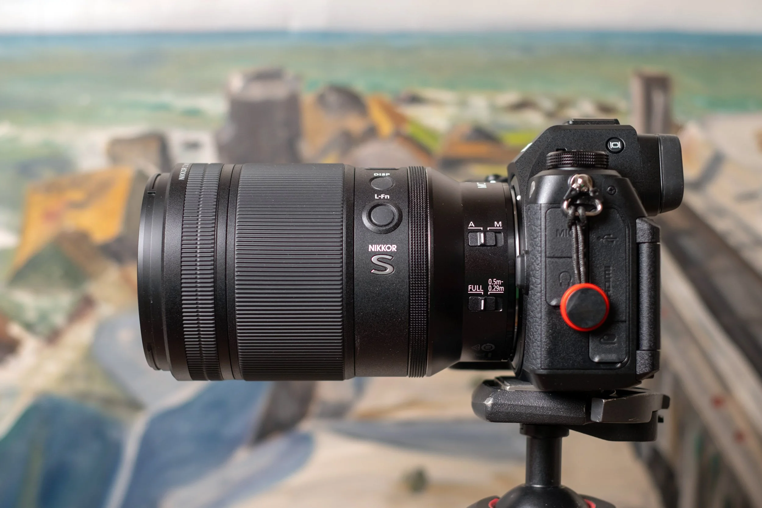 Nikon Nikkor Z MC 105mm f/2.8 VR S Macro Review | 5050 Travelog
