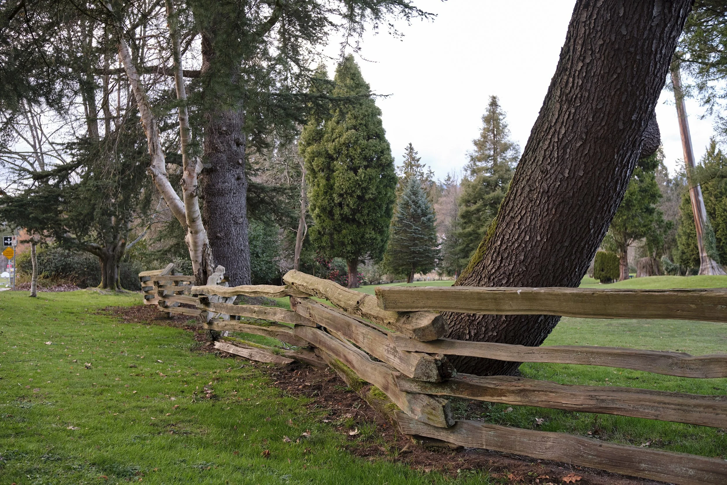 Viltrox AF 23mm f/1.4 XF Review | 5050 Travelog