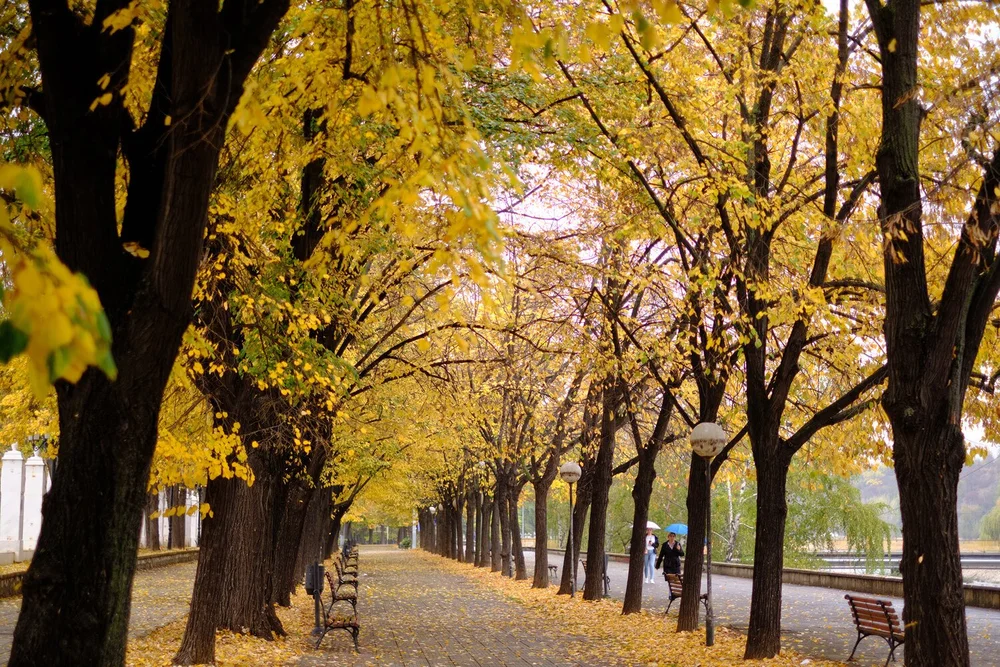 2 Days in Skopje | North Macedonia | 5050 Travelog