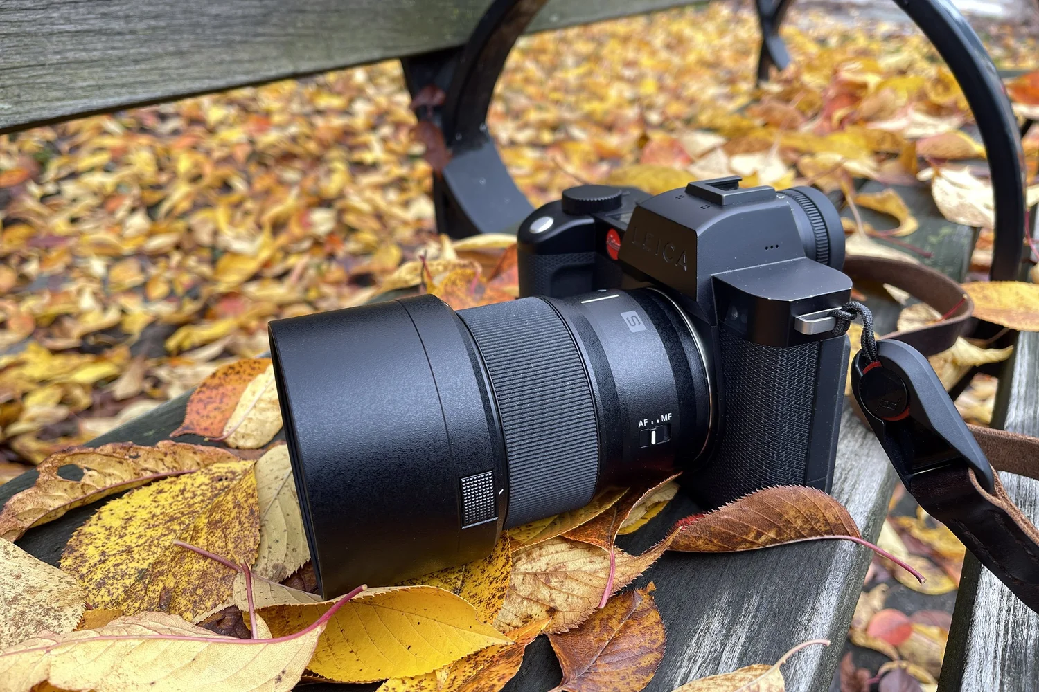 Panasonic Lumix S 85mm f/1.8 Review | 5050 Travelog