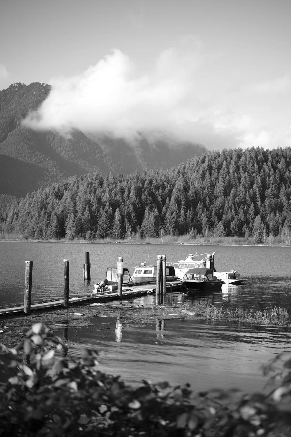 Pitt-Addington Marsh | Landscape Photography | 5050 Travelog