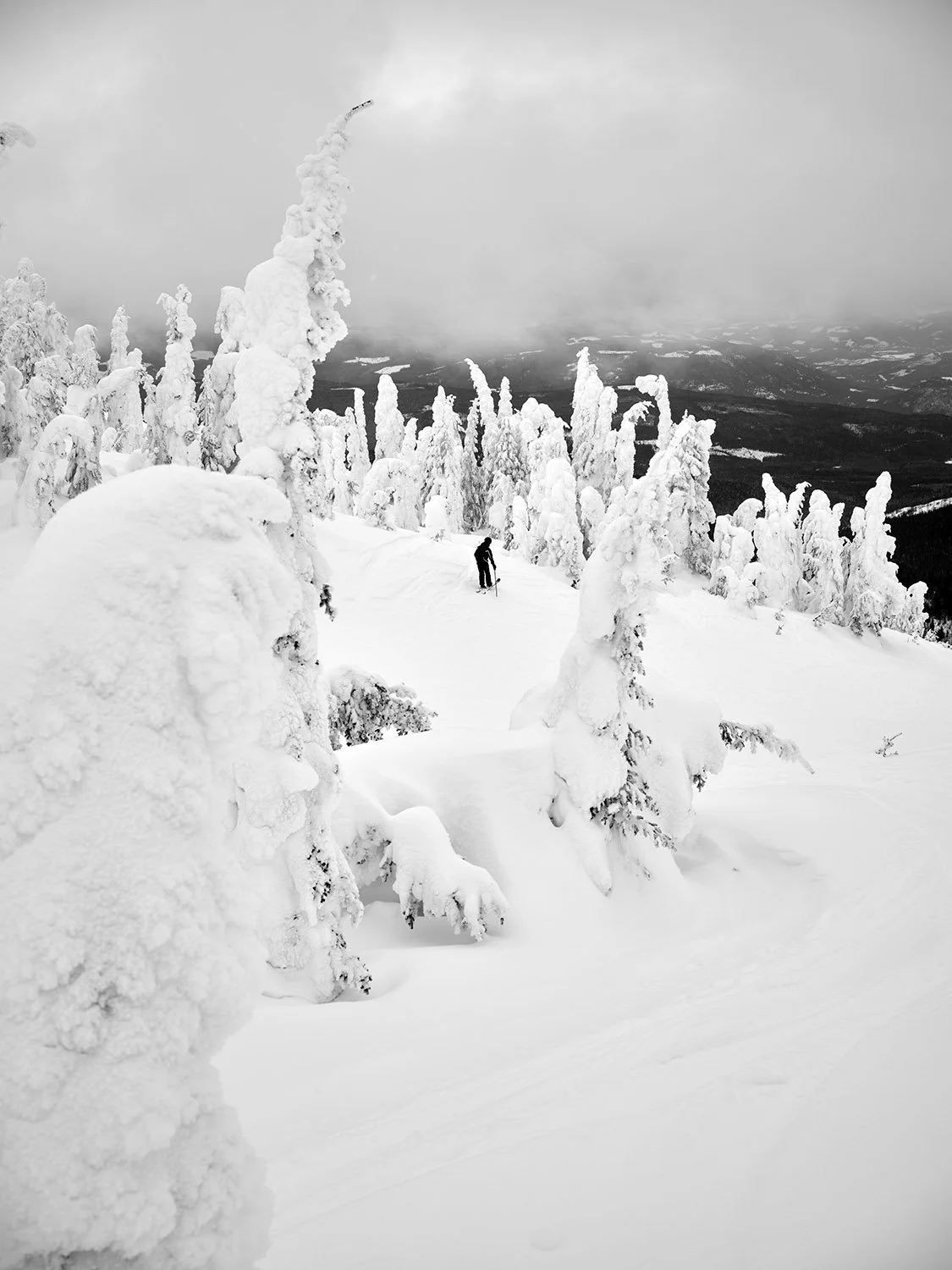 Silver Star Mountain Snow Ghosts | 5050 Travelog