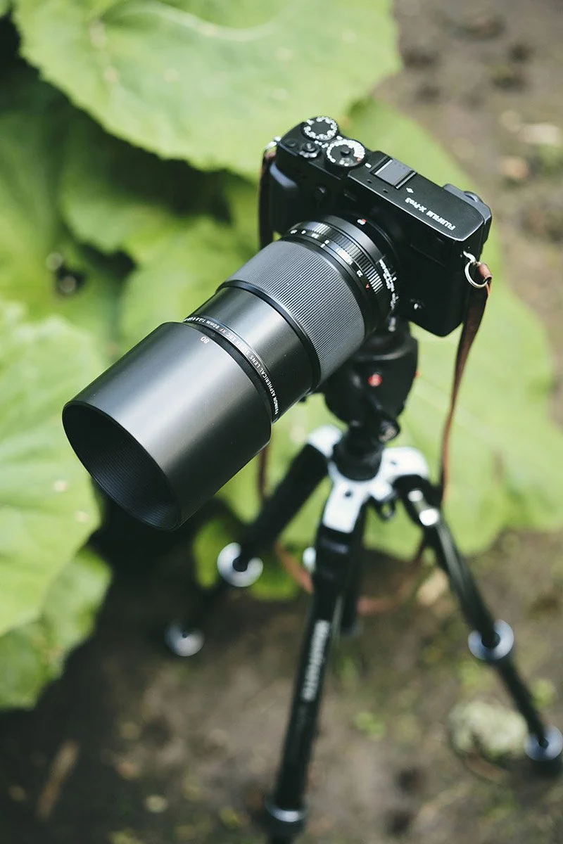 Fujifilm XF 80mm f/2.8 R LM OIS WR Macro Review | 5050 Travelog