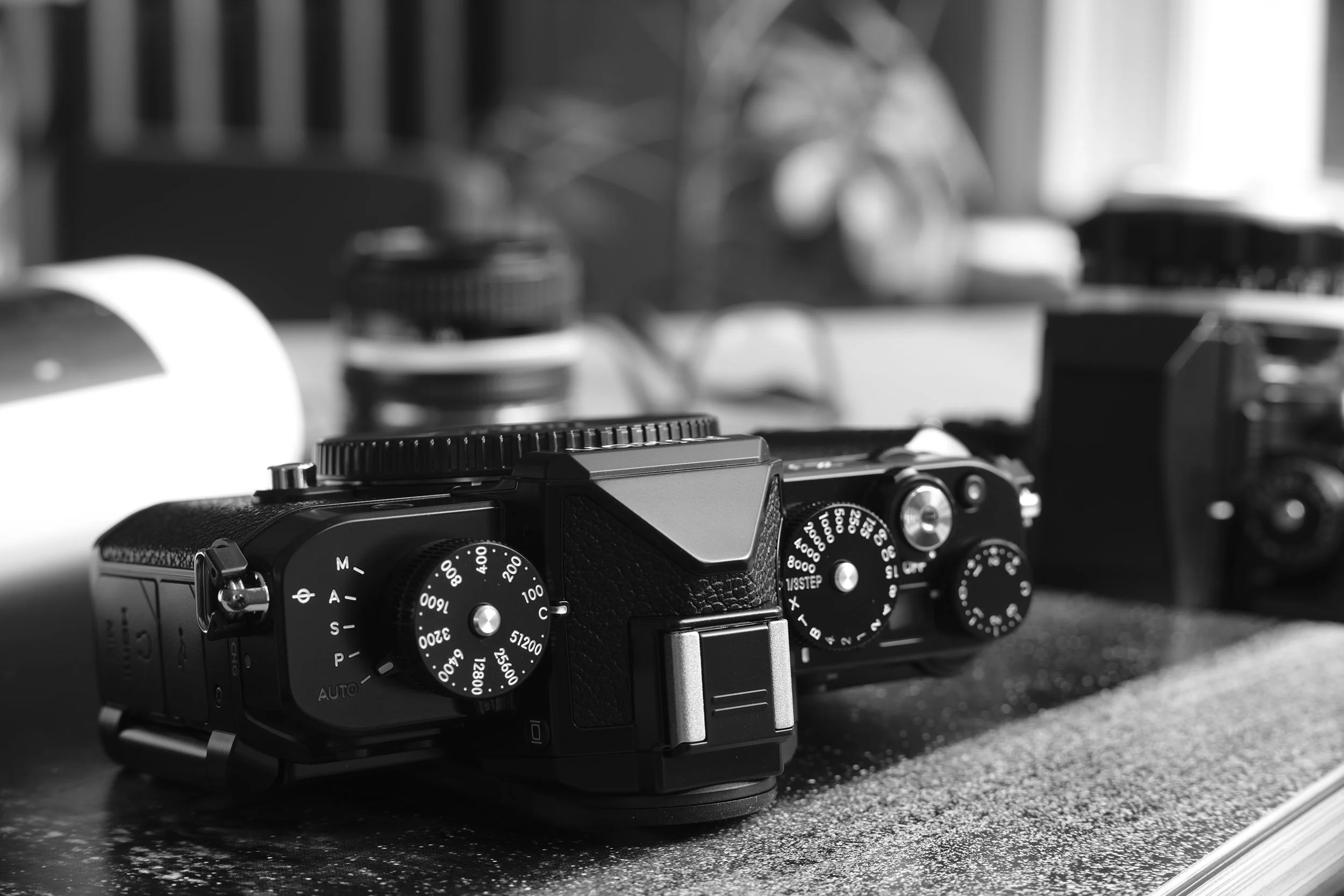 Nikon Z f Review | 5050 Travelog