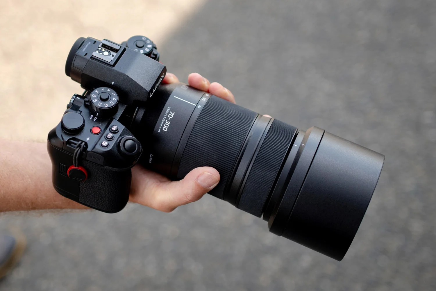 Panasonic Lumix S 70-300mm f/4.5-5.6 Macro O.I.S. Review | 5050 Travelog
