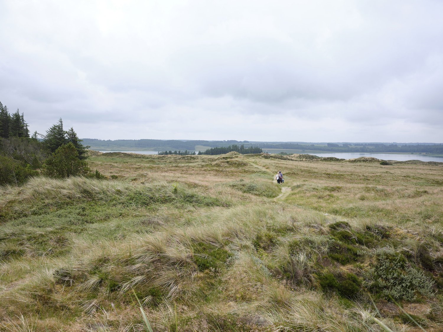Road Trip to Klitmøller, Blokhus, and Løkken in Denmark | 5050 Travelog