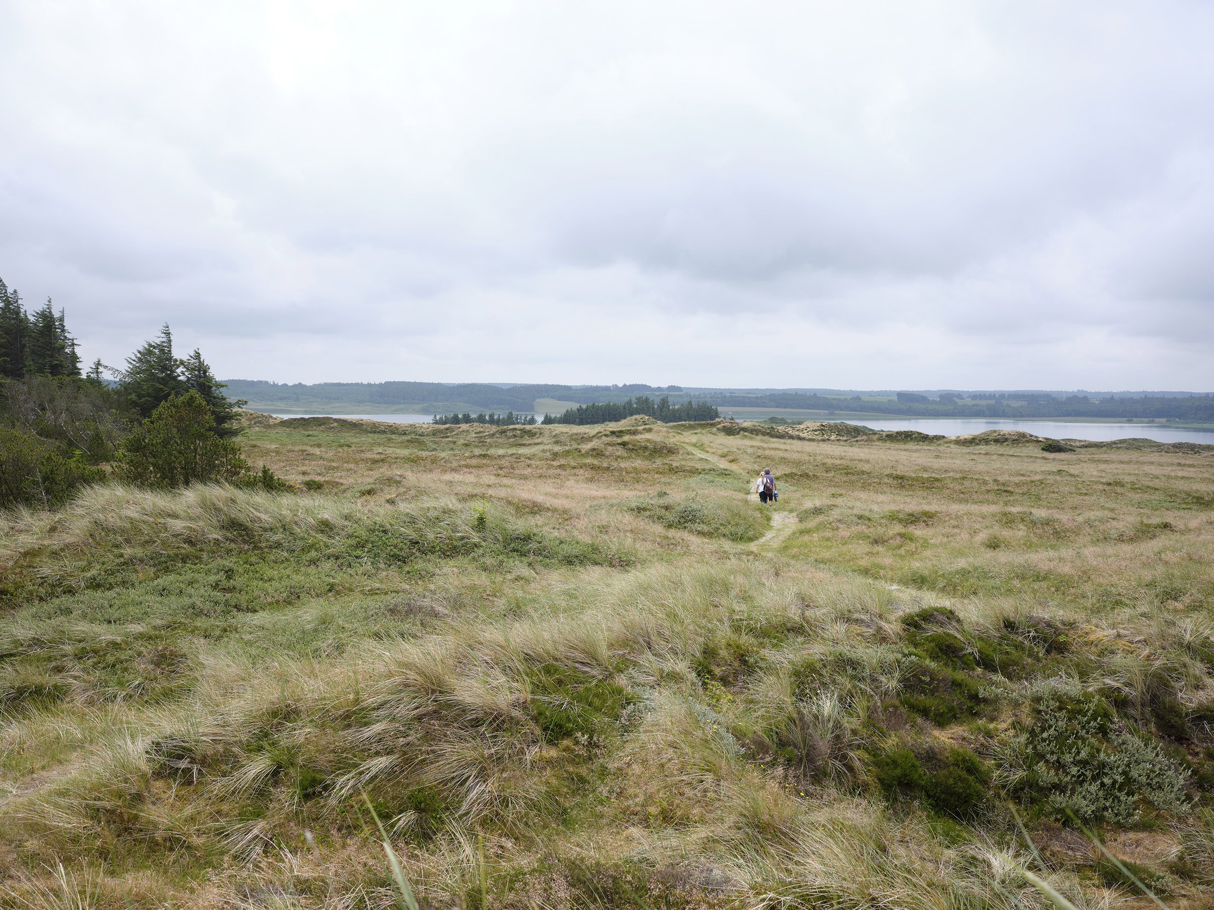Road Trip to Klitmøller, Blokhus, and Løkken in Denmark | 5050 Travelog