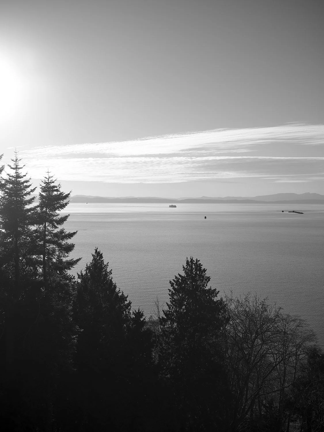 Moment CineBloom Diffusion Filter Review | 5050 Travelog