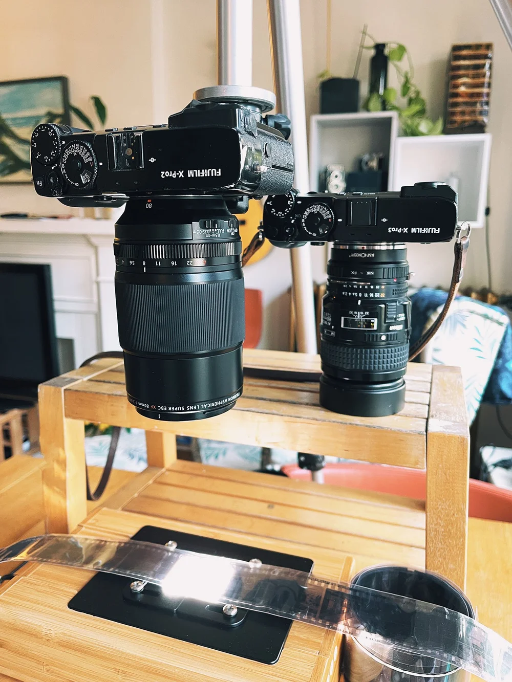 Fujifilm XF 80mm f/2.8 R LM OIS WR Macro Review | 5050 Travelog
