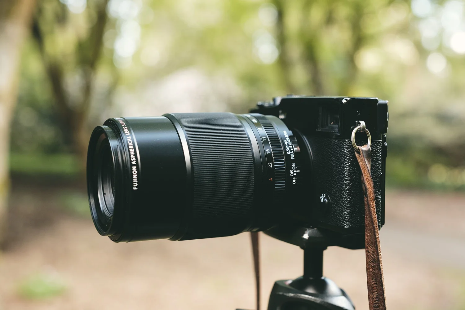 Fujifilm XF 80mm f/2.8 R LM OIS WR Macro Review | 5050 Travelog