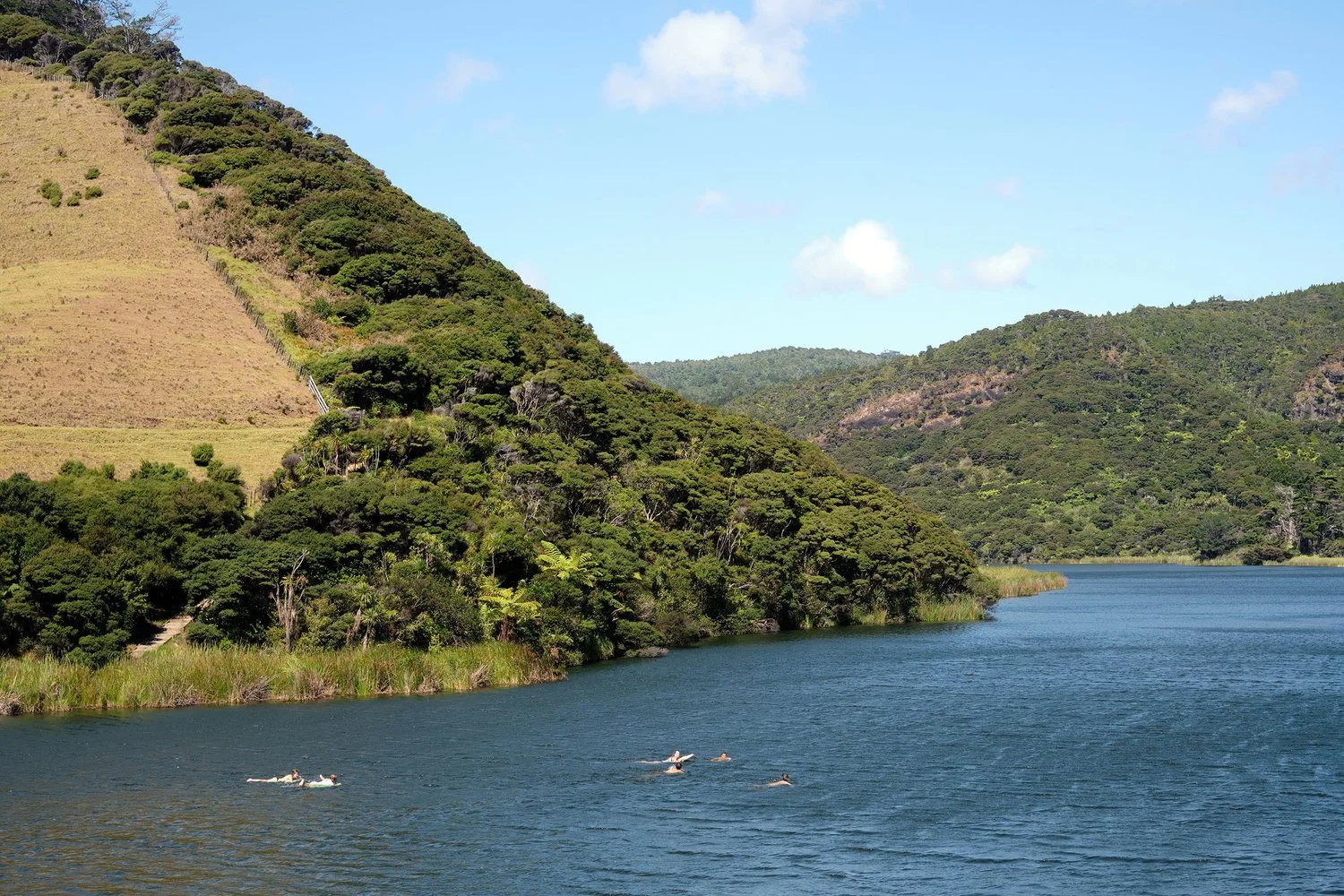 Lake Wainamu Day Trip | New Zealand | 5050 Travelog