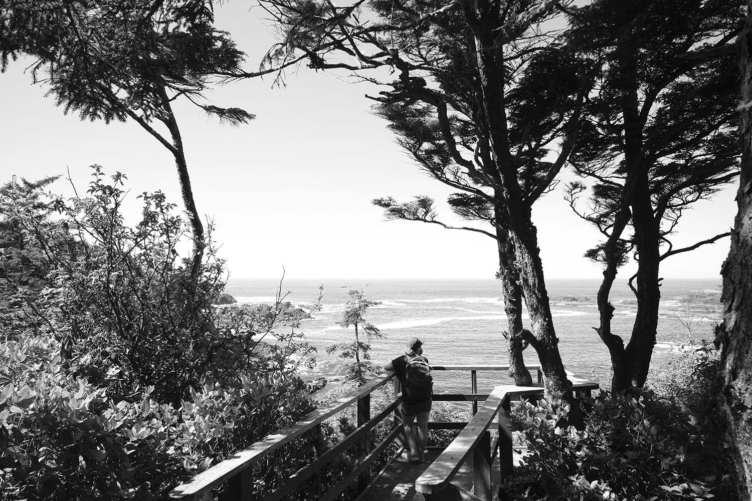 2 Days in Tofino and Ucluelet | 5050 Travelog