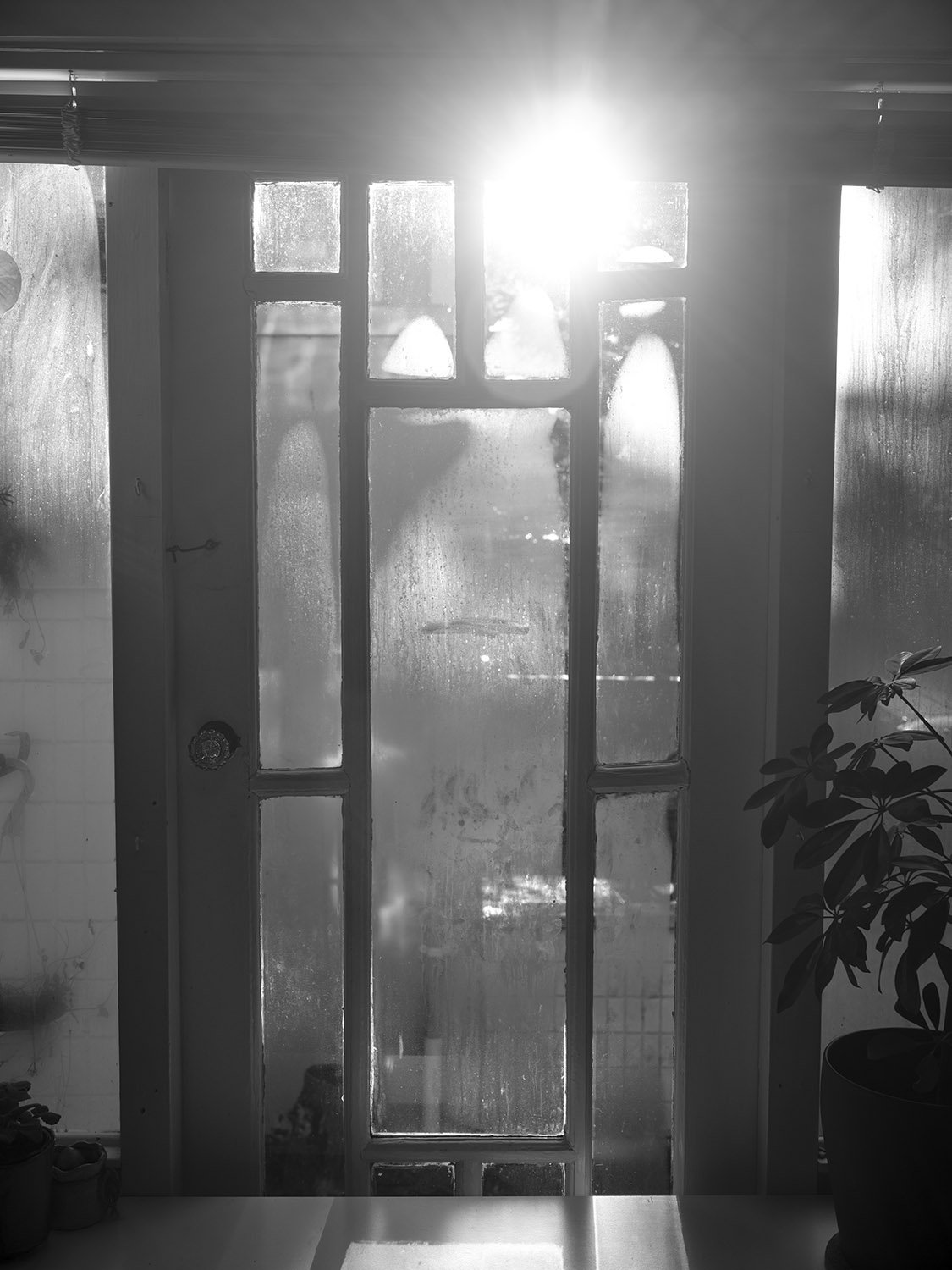 Moment CineBloom Diffusion Filter Review | 5050 Travelog