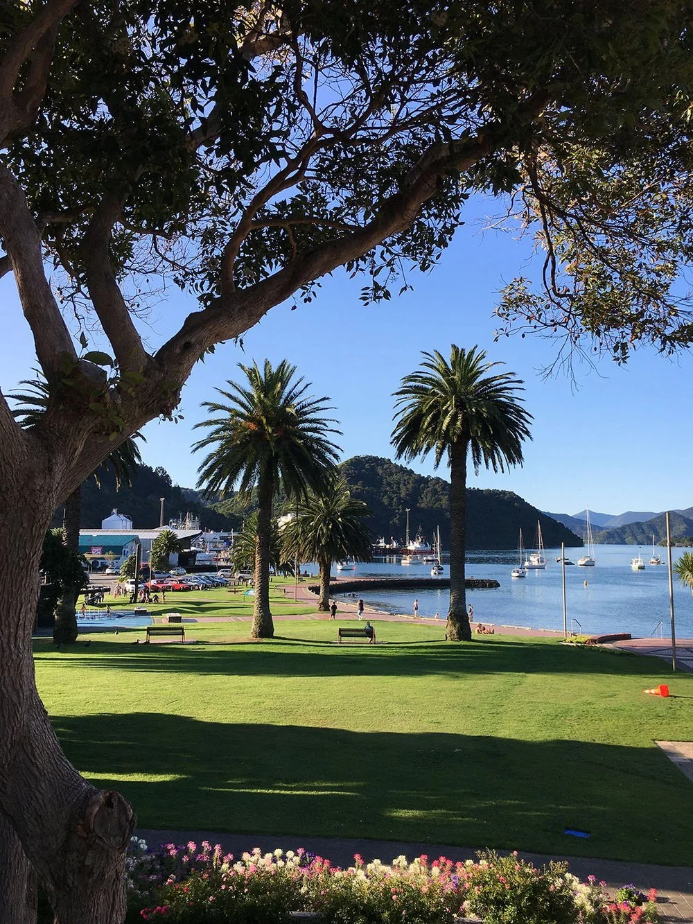 3-Days in Picton | New Zealand | 5050 Travelog