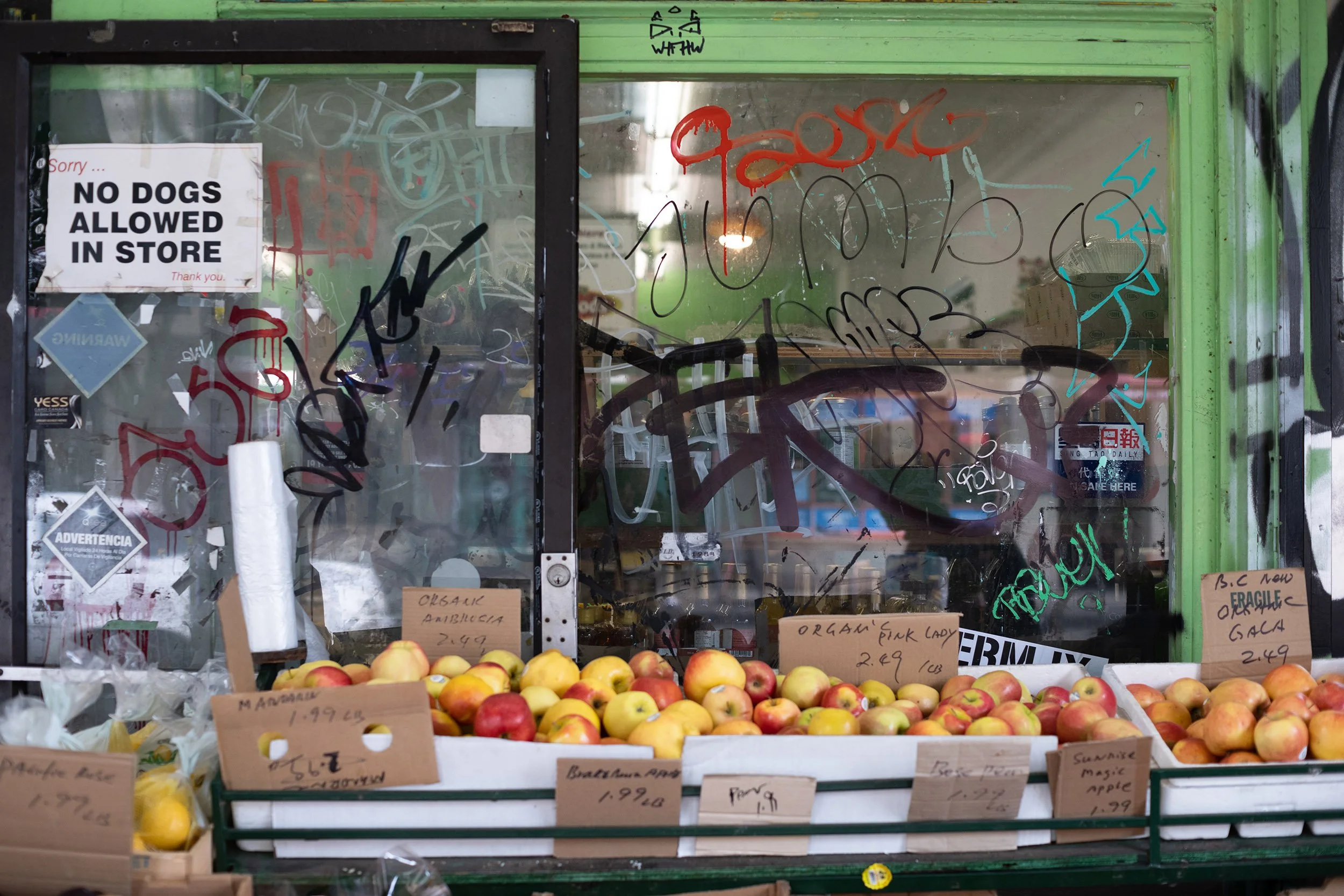 Leica SL2-S First Impressions | 5050 Travelog