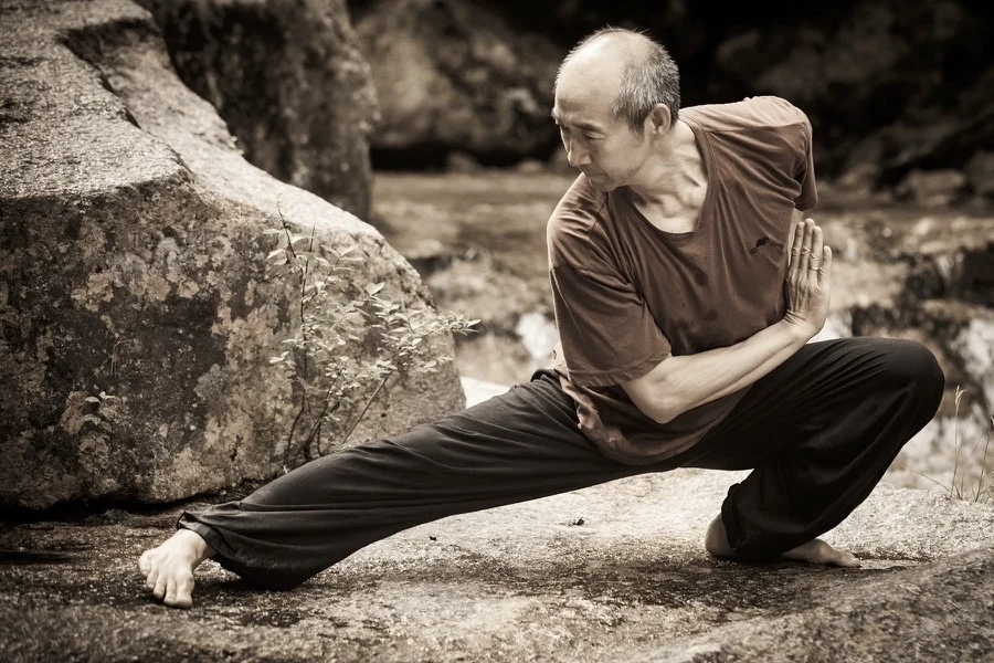 Yao Li Kung Fu