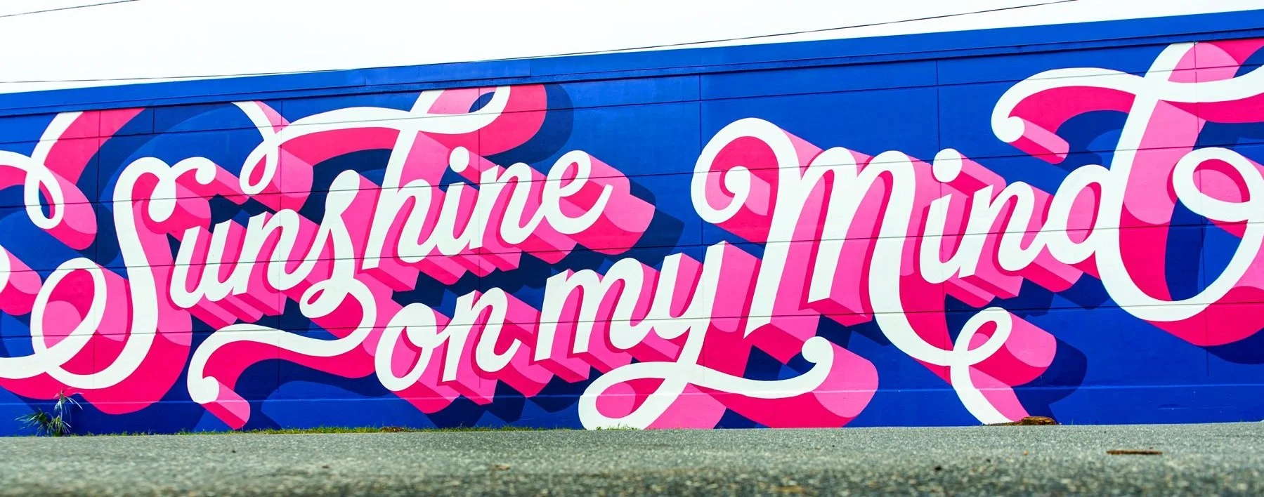 Contact - St. Petersburg |Hand Lettering, Hand Painted Signs, Murals ...