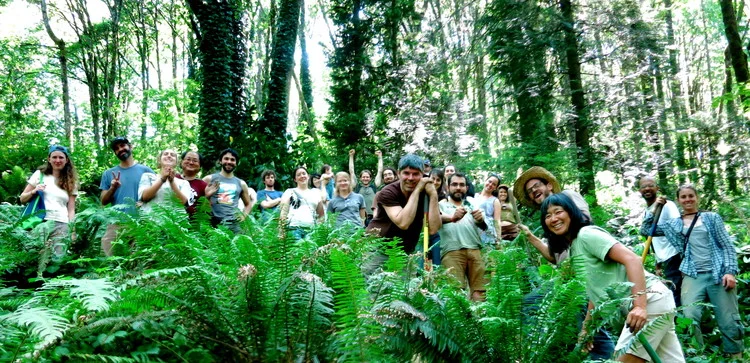 The City Repair Project