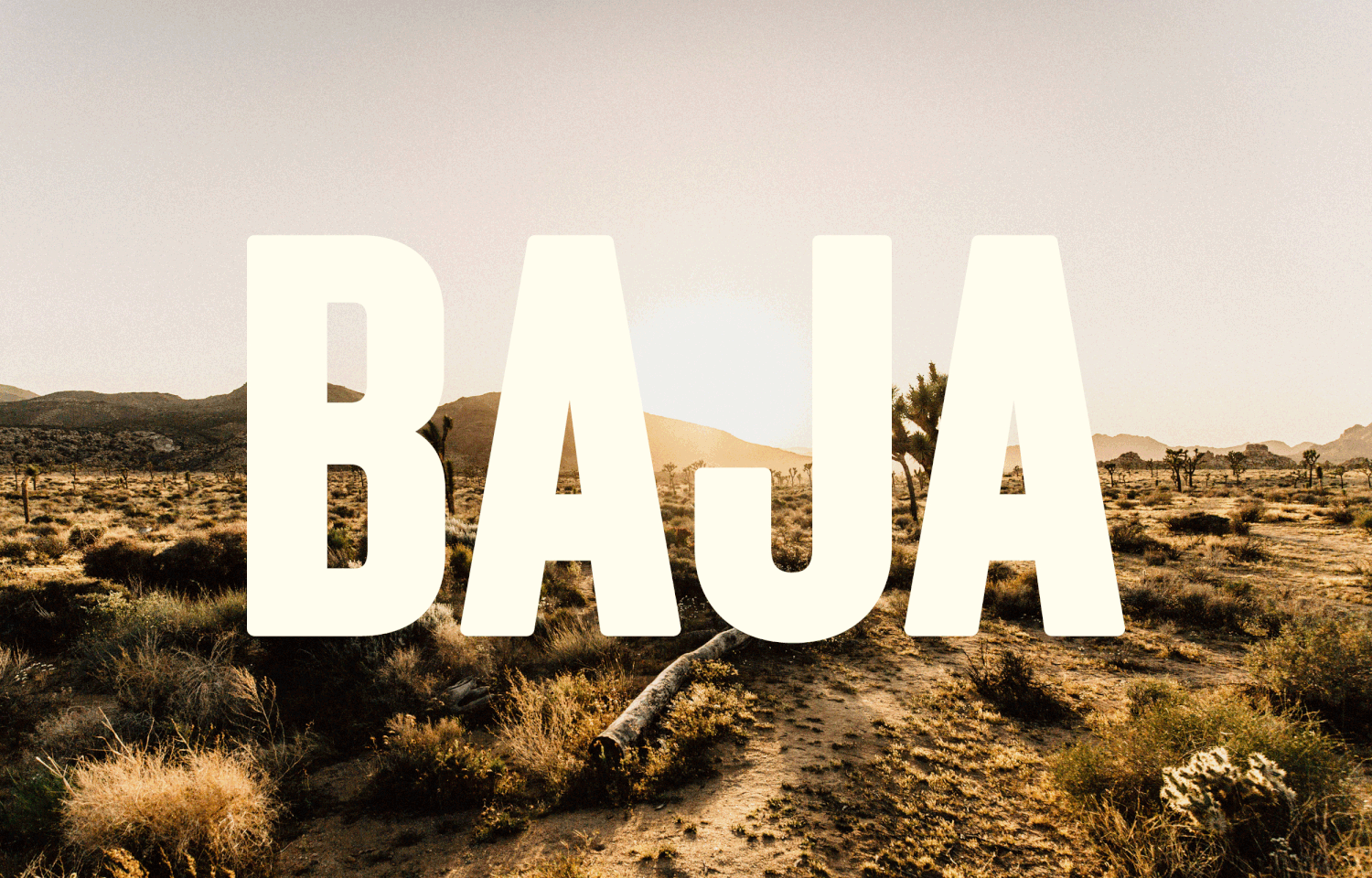 Baja Modern Mexican — LAUREN-MESSINA