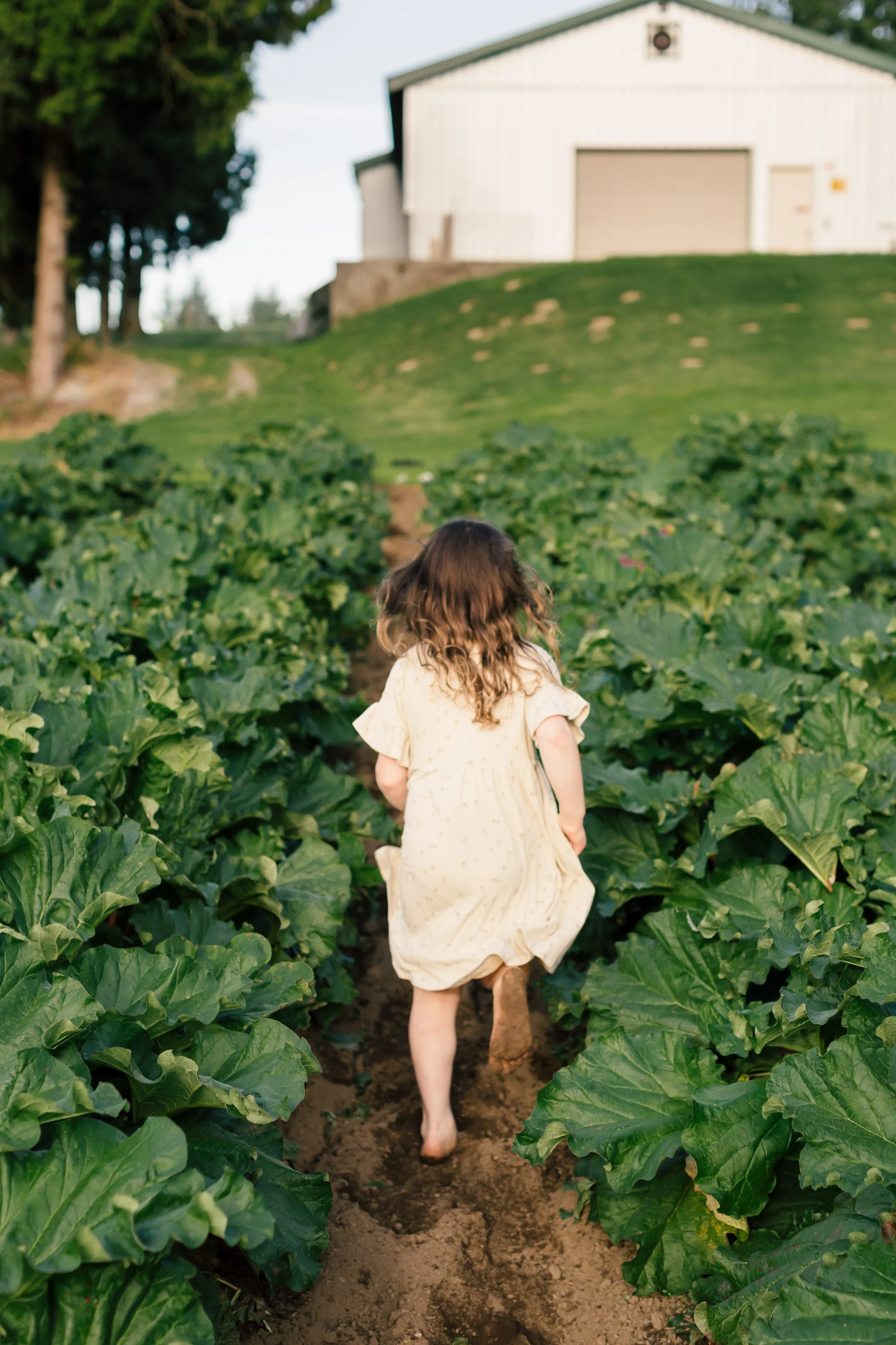 Vancouver Family Photographer — Ashley Drody Photography | Vancouver ...