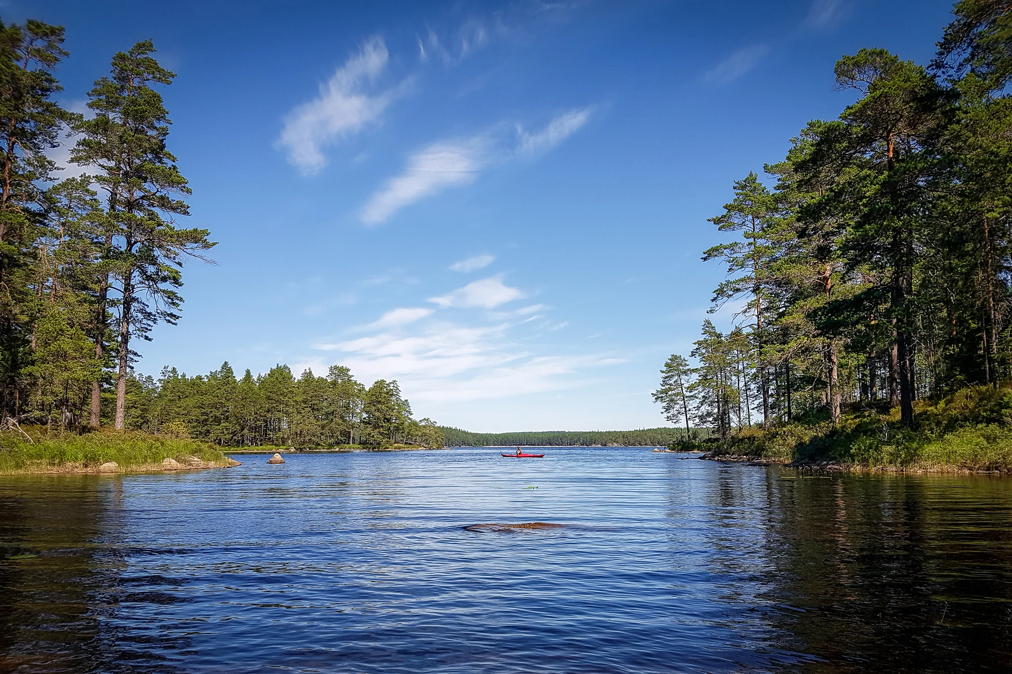 Vandra i Tiveden nationalparks trolska skogar — Sanna Rosell