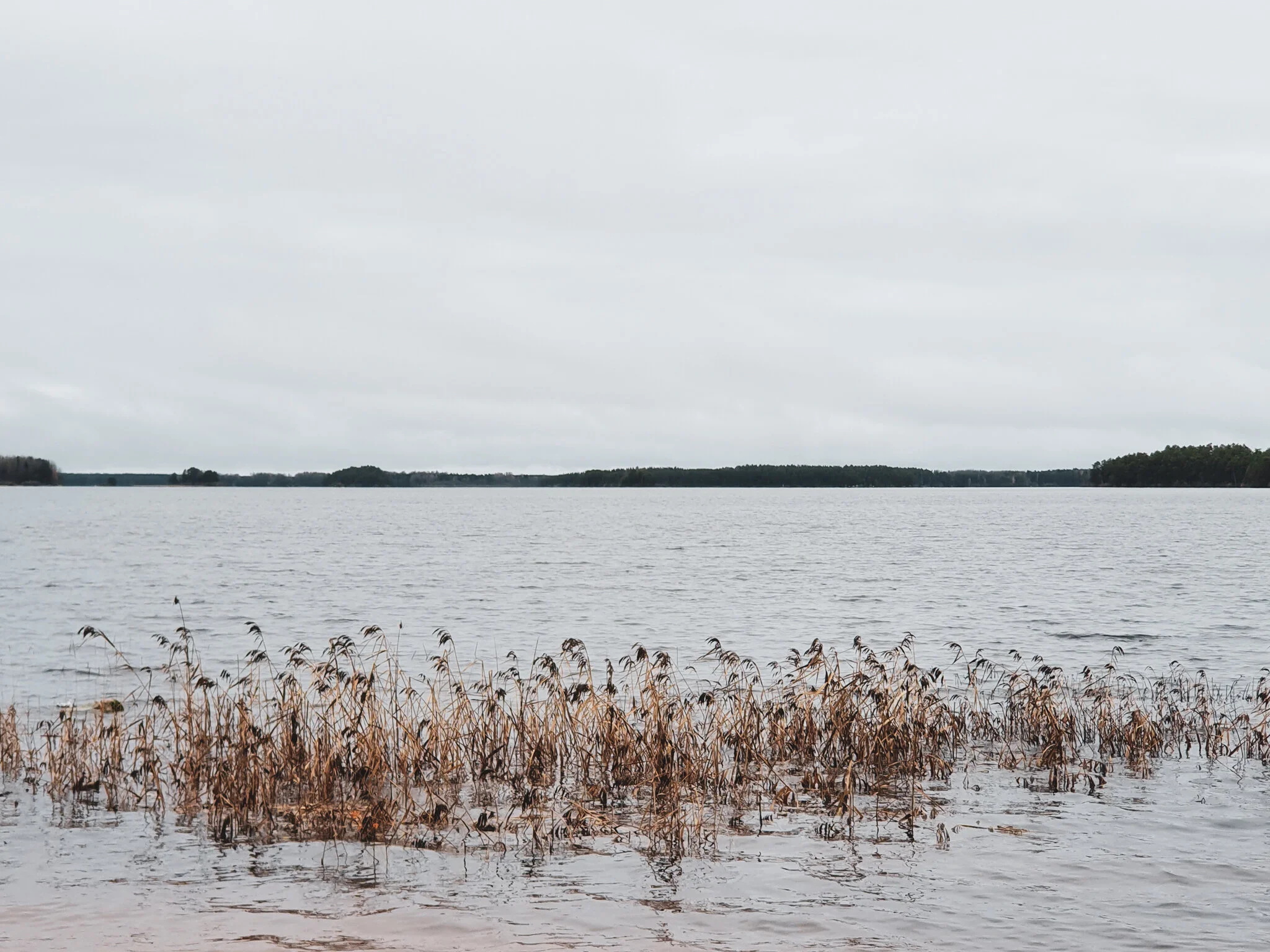 Vandra i Tivedens nationalpark — Reseblogg för nyfikna