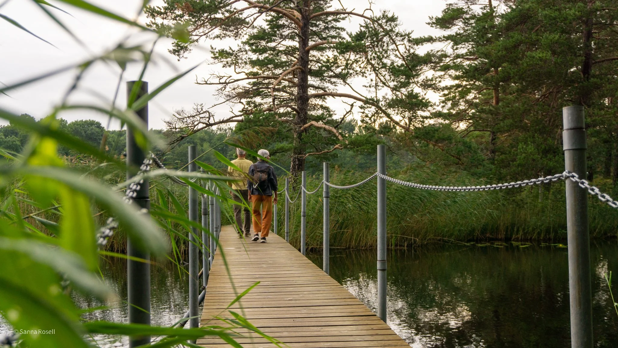 Tips På Höstiga Resor I Sverige Reseblogg För Nyfikna