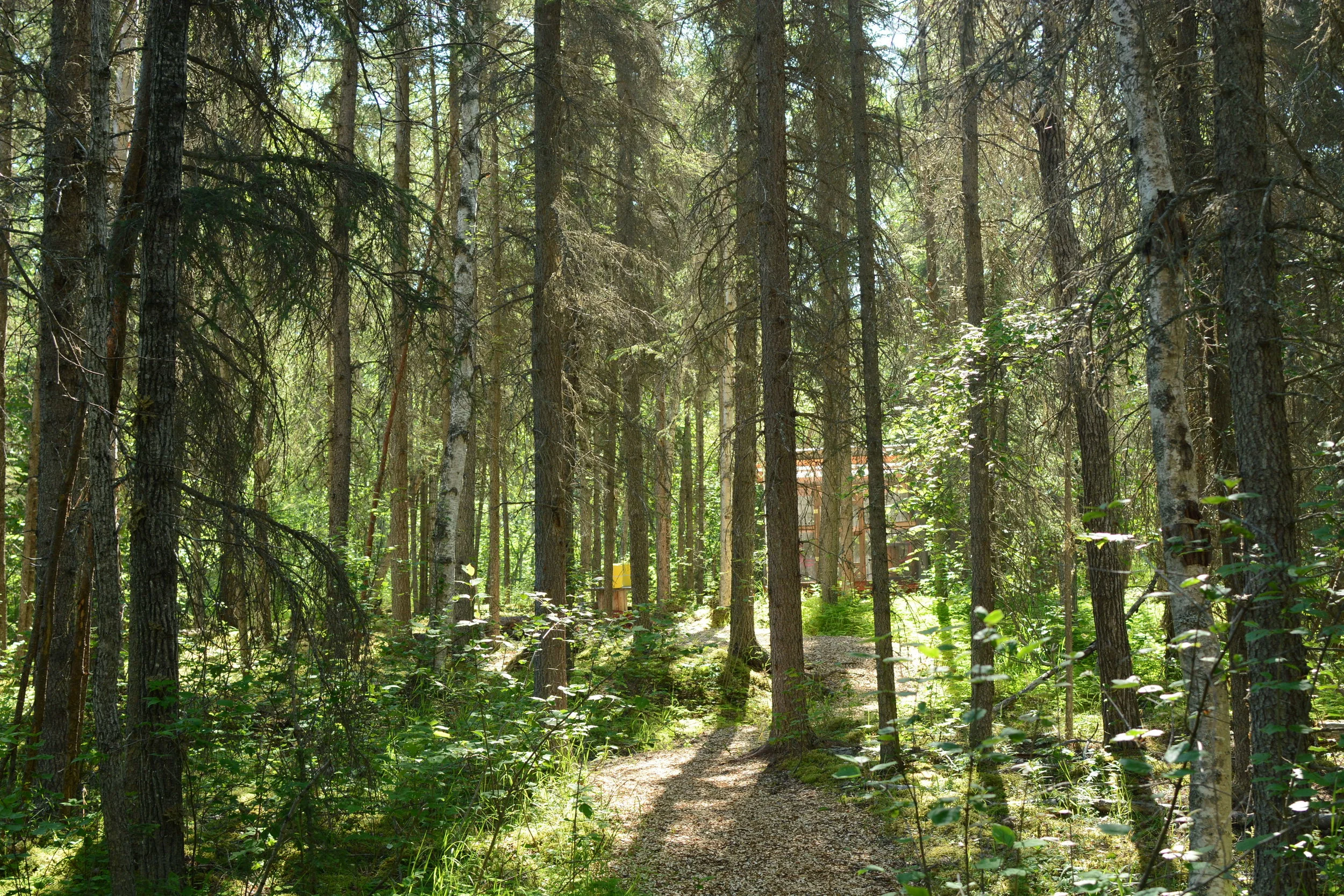 Glamping in Lake Clark National Park — Tulchina Adventures