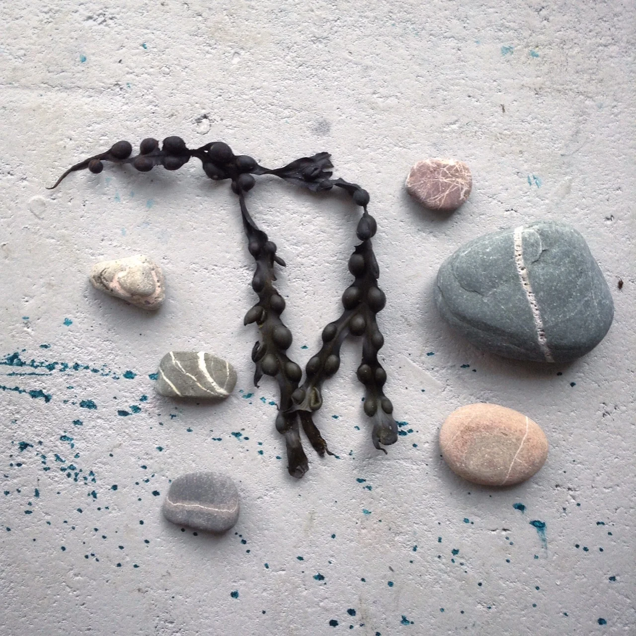 Artist Profile: Kathy Hutton — Just a Card