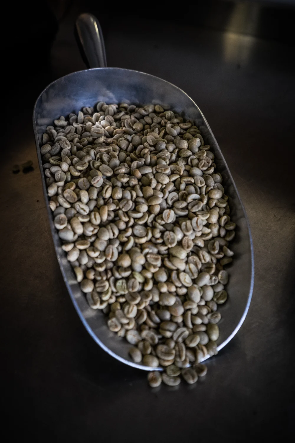About — Galileo Coffee Company