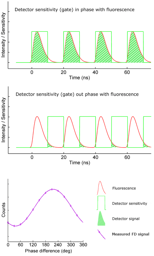 Time Domain Frequency Domain Vs