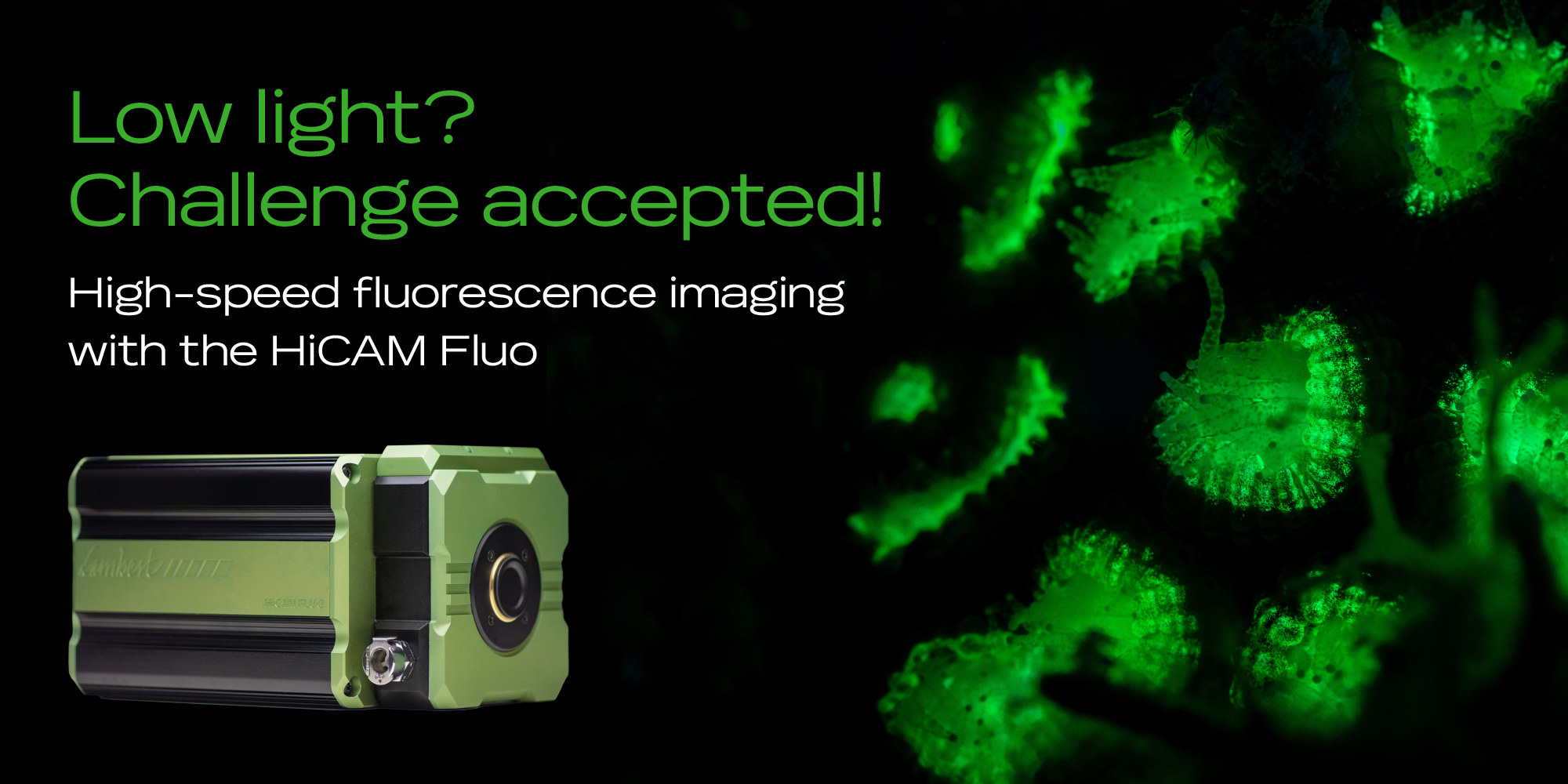 Lambert Instruments: High-Speed Imaging for Low-Light Applications