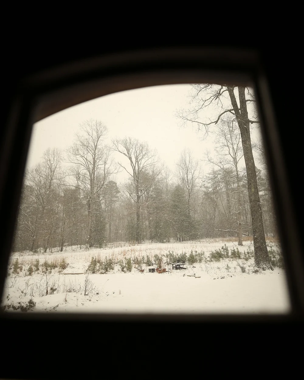 Our first big snow at Benwood | January 2025! — Probably This