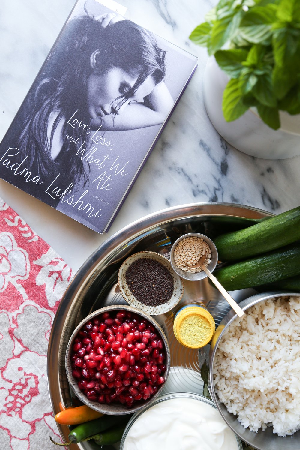 Padma Lakshmi's Yogurt Rice + A Giveaway from Padma! — Probably This