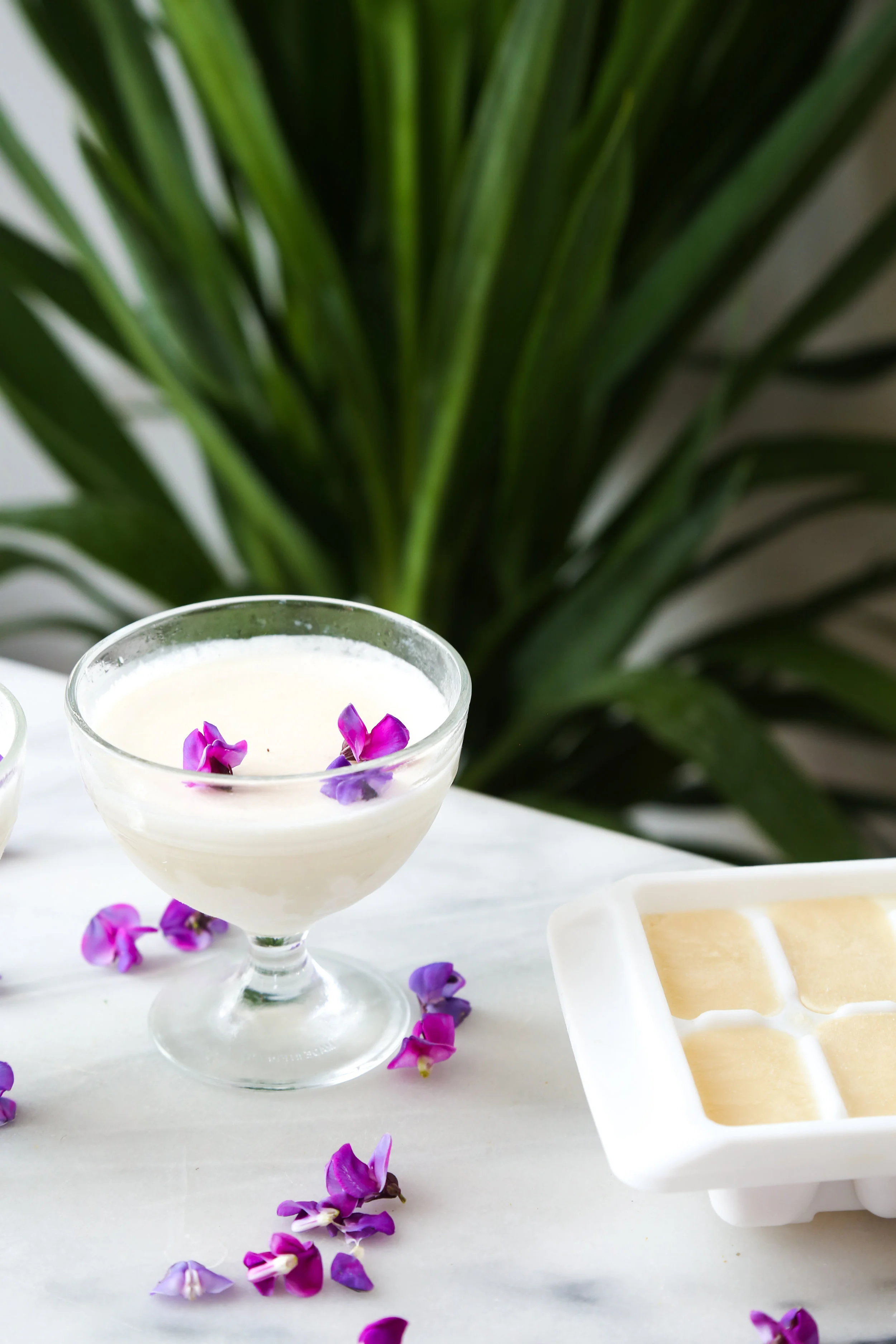 Blossom Colada — Probably This