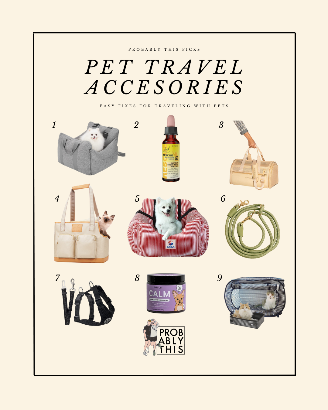 Pet Travel Accessories We Love — Probably This