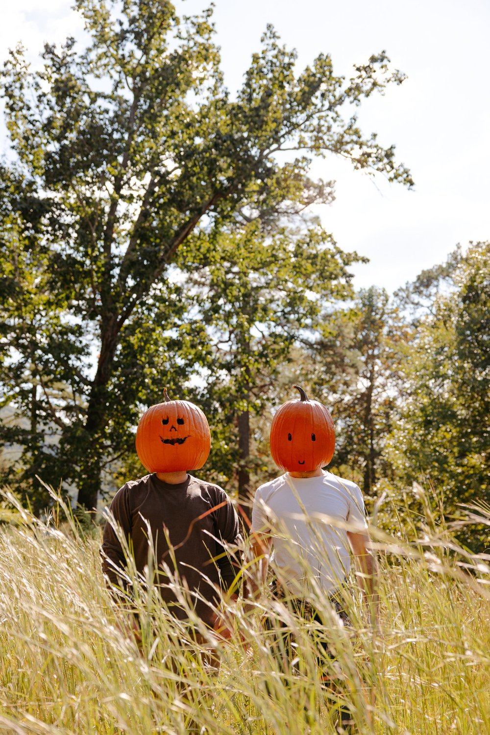 Our Pumpkin Carving Tradition & Autumn Portrait Inspiration! — Probably ...