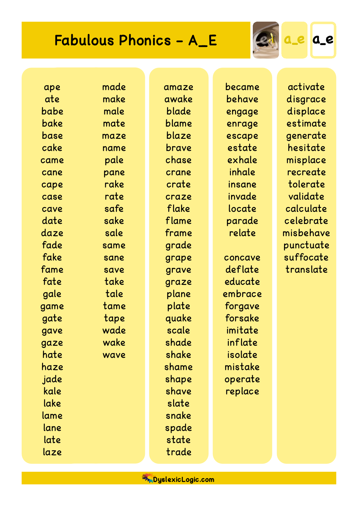 Long Vowel Resources A E Dyslexic Logic Long Vowel Resources A E Dyslexic Logic