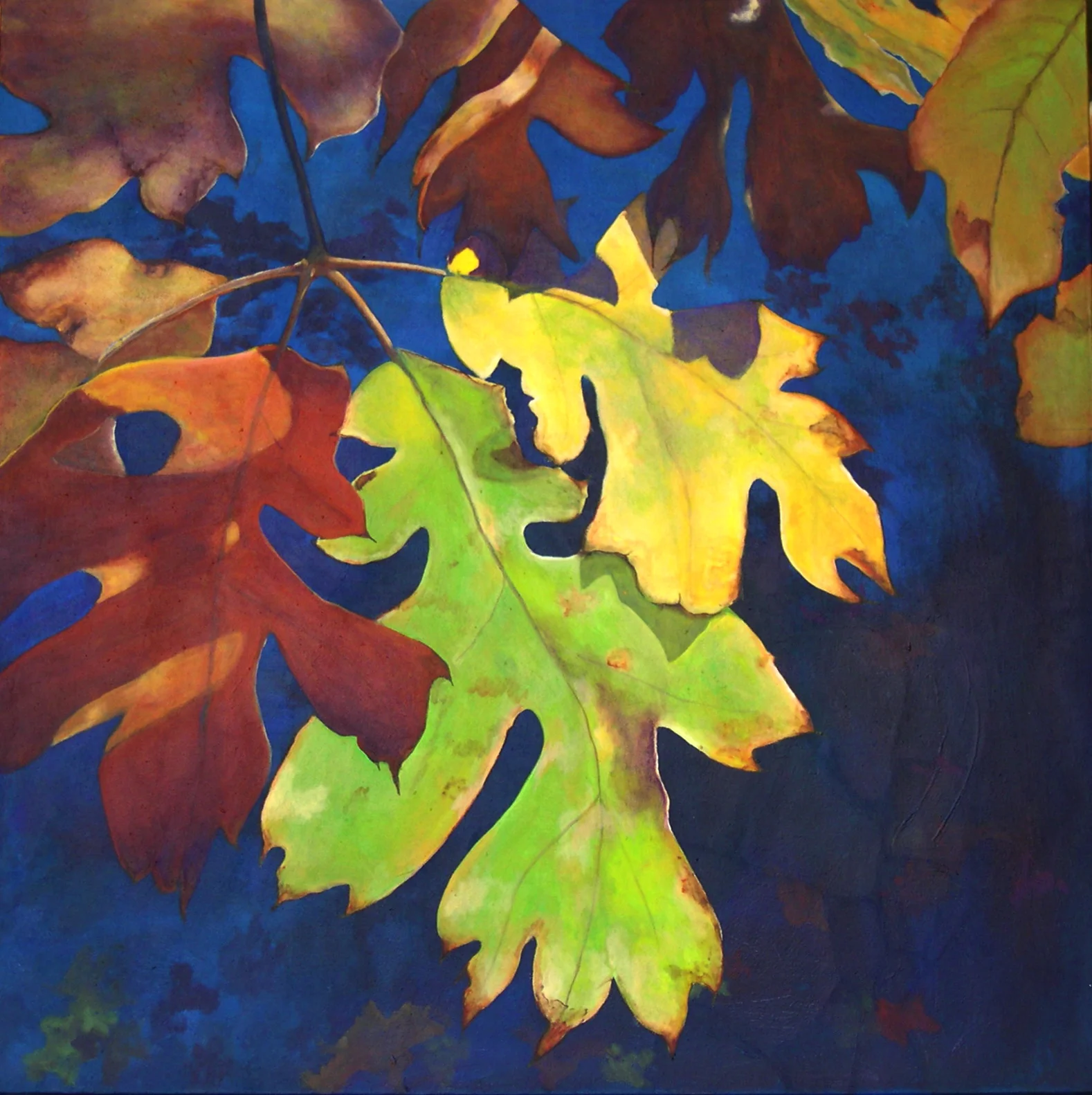 AVAILABLE — LAURA JANES