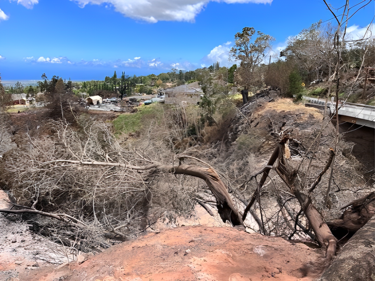 Maui Wildfire Recovery - EWP — Maui County Soil & Water Conservation ...