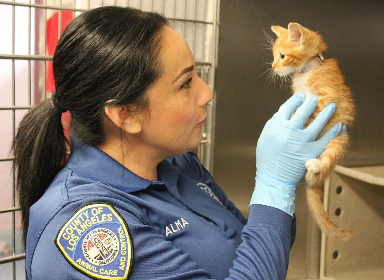 How L.A. County animal control has changed in 20 years — The Downey Patriot