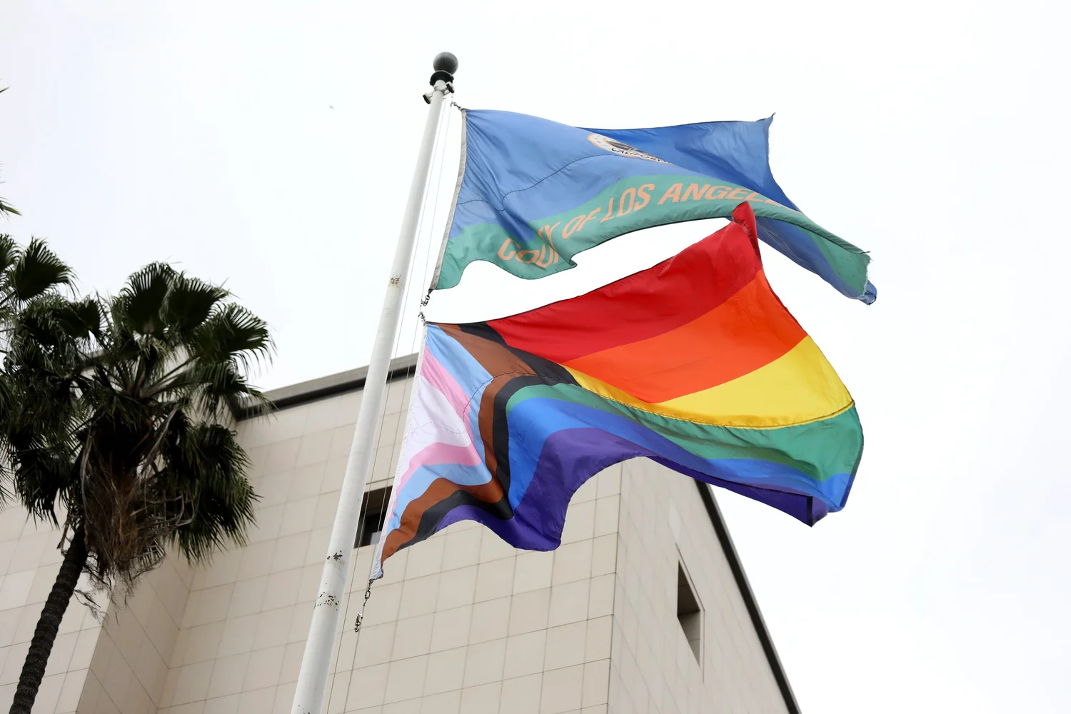 Downey goes backwards by banning Pride flag — The Downey Patriot