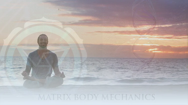 MATRIX BODY MECHANICS